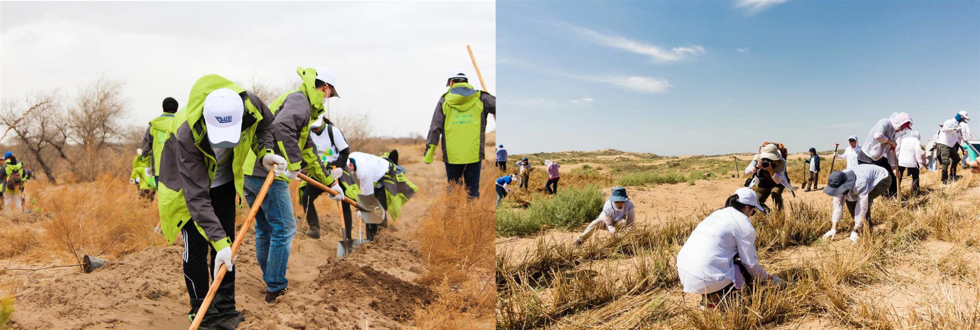 USI | USI Planted 20,000 Trees in Inner Mongolia and Ningxia to Combat ...